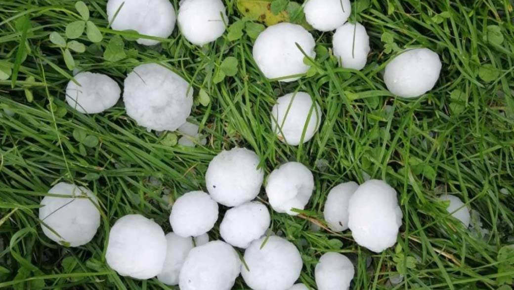 ivanjica grad grom ubio konja unisteni malinjaci | Mondo