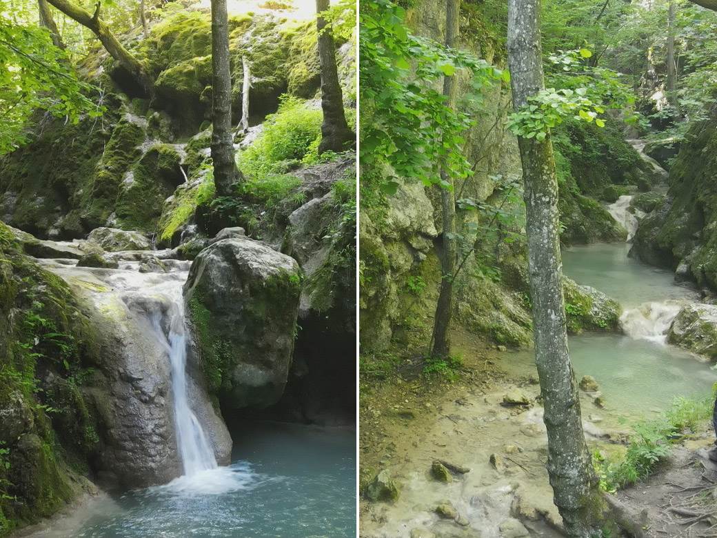 banjiski potok ovcar video | Mondo