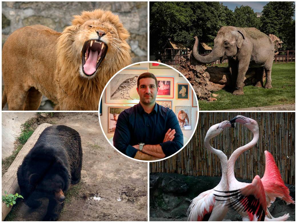 zoloski vrt u beogradu zivotinje | Mondo