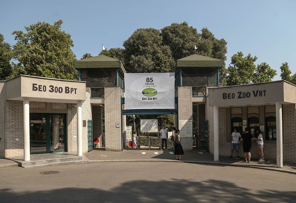 Seli se beogradski zoo vrt | Mondo