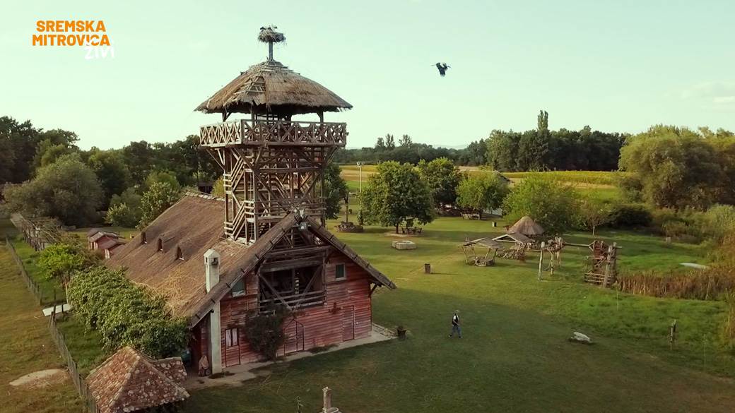 dabrovi nestali pre 100 godina sada žive u ovom rezervatu | Mondo