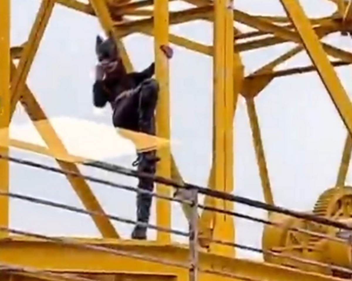 Anja Bla se snimala na ulici kao žena mačka | Mondo