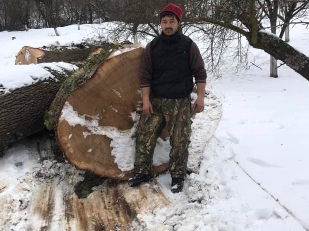 Mladić obara stablo visoko 27 metara | Mondo