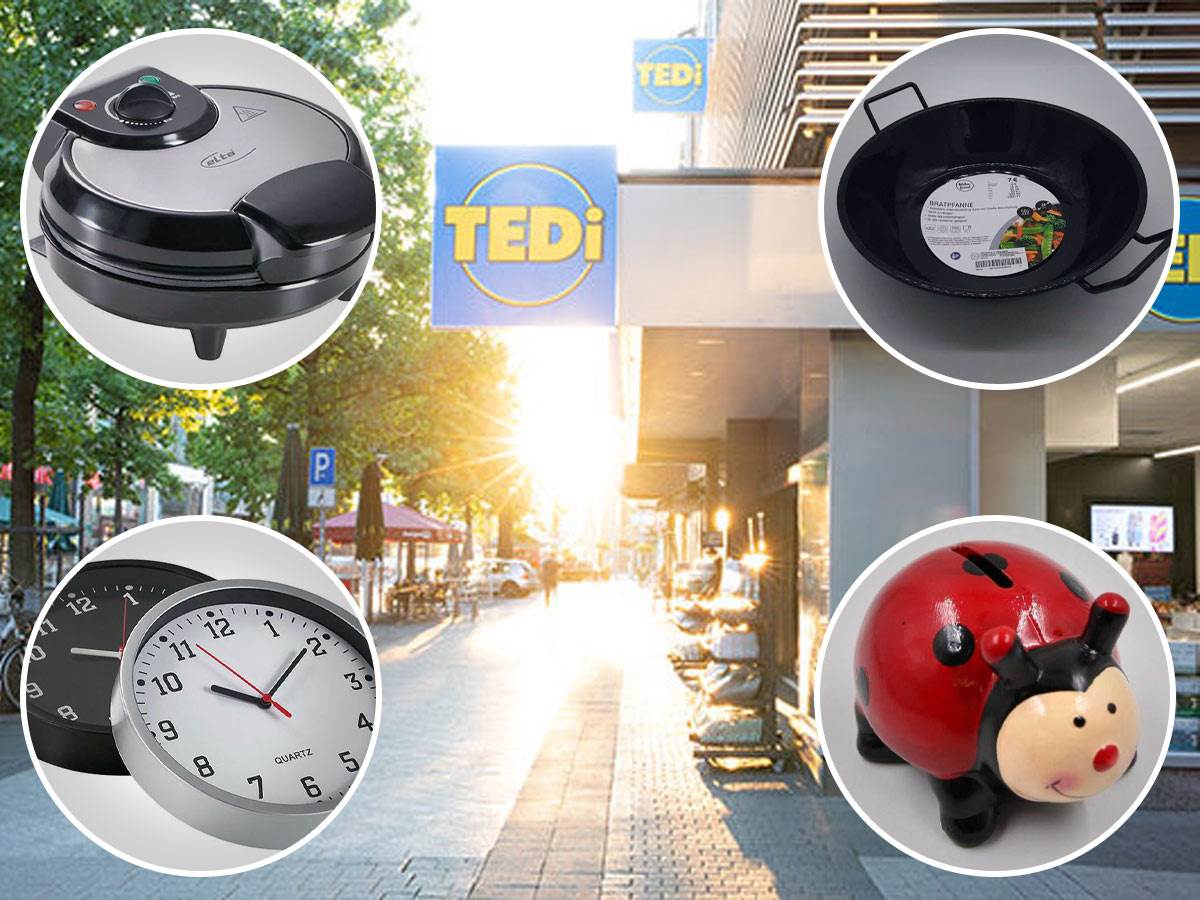 Tedi katalog | Mondo