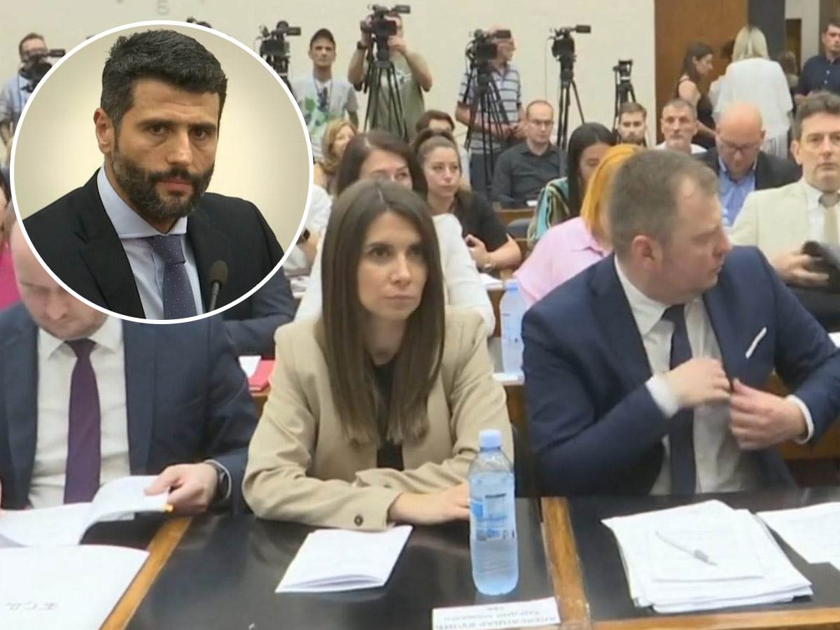 Vesna Vidović nova zamenica gradonačelnika Beograda | Mondo