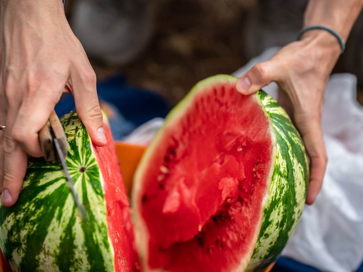 Da li je lubenica voće ili povrće | Mondo