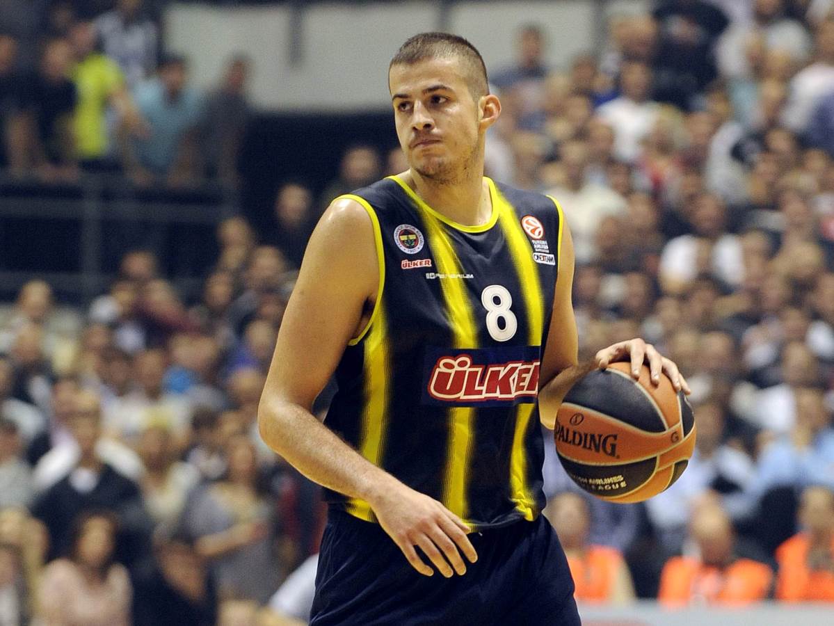 Nemanja Bjelica se oporavio od povrede | Mondo