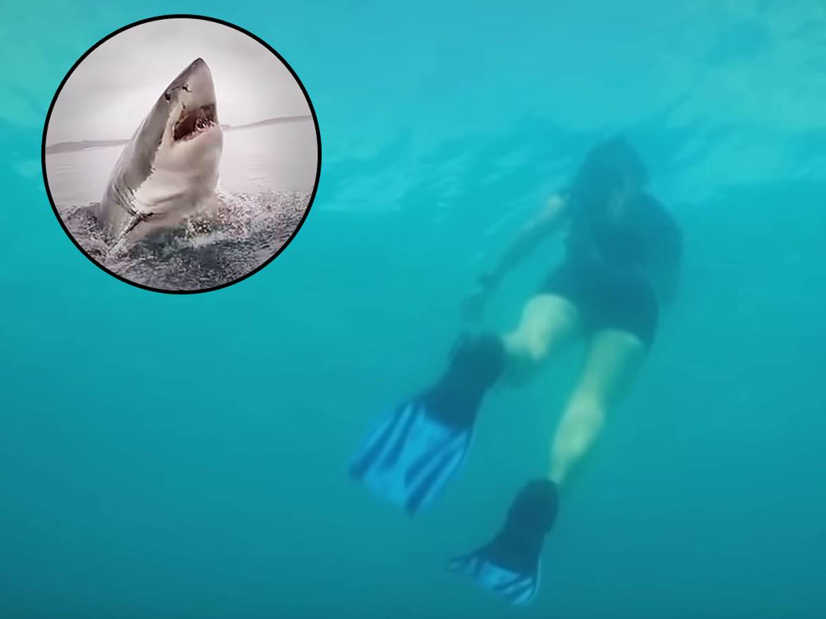 Najgori slučaj napada ajkule u Australiji | Mondo