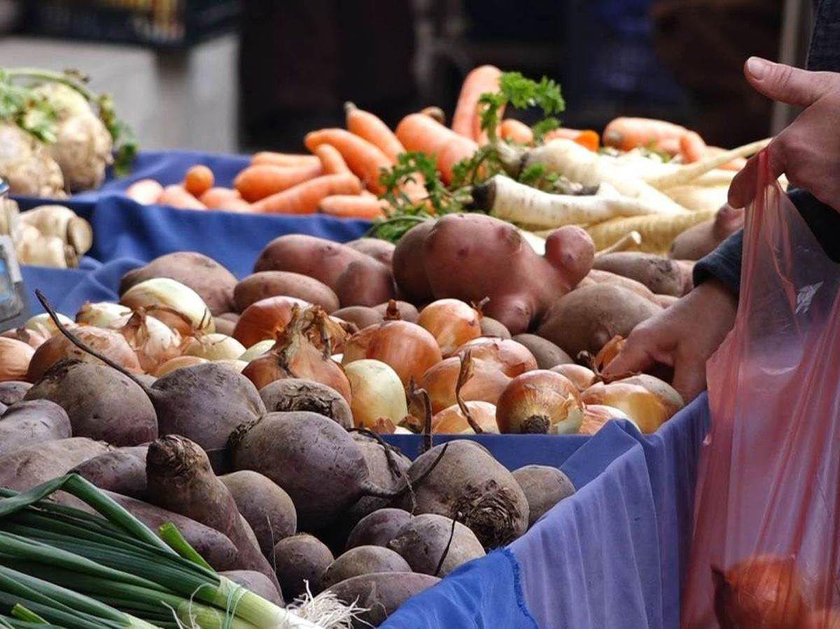 Cena belog luka na pijacama 800 dinara | Mondo