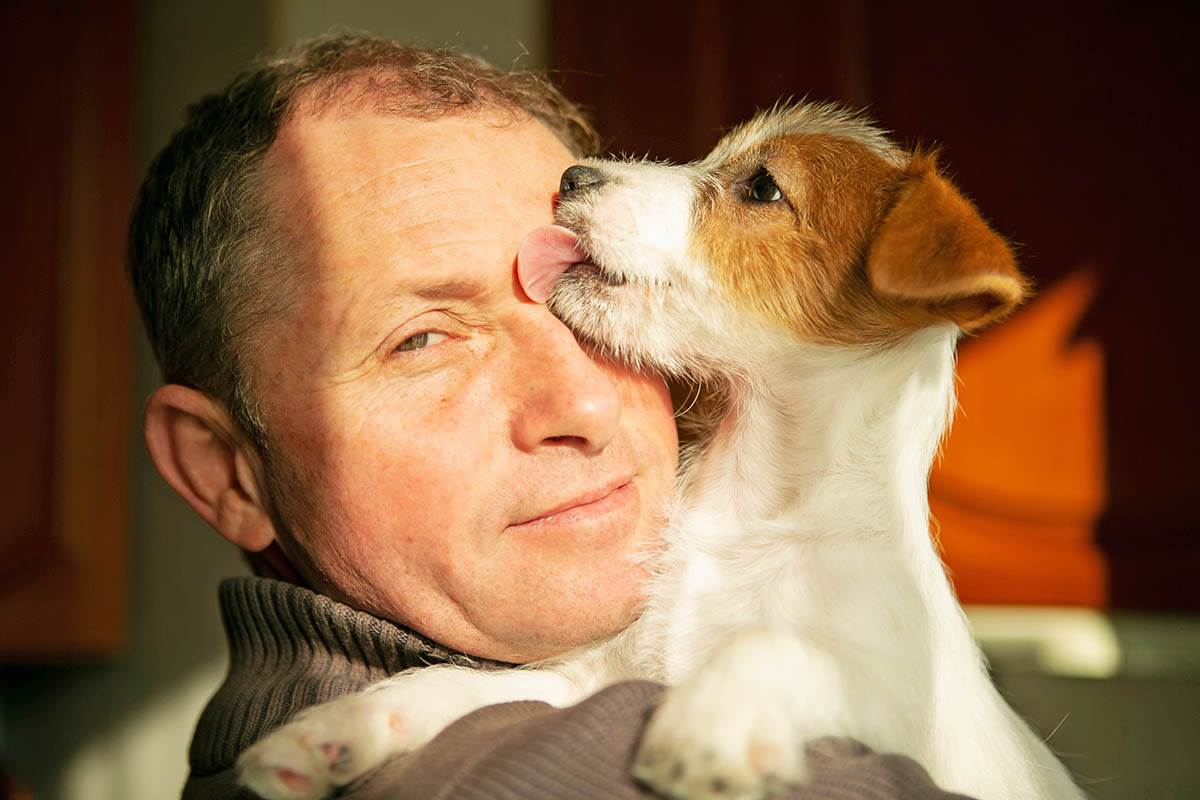 Pas otkrio da gazda ima rak mozga | Mondo TV