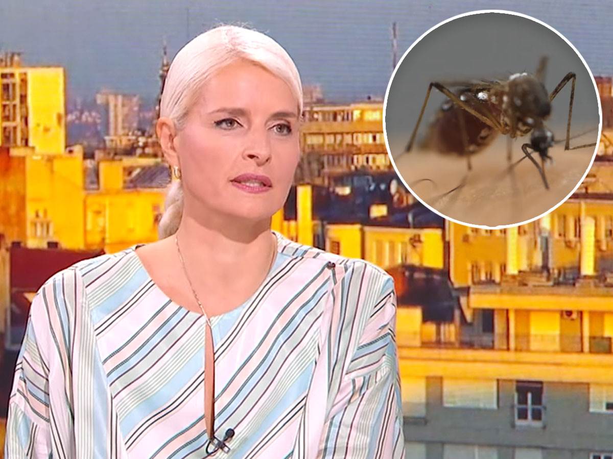 Simptomi ujeda komarca zaraženim virusom Zapadnog Nila | Mondo