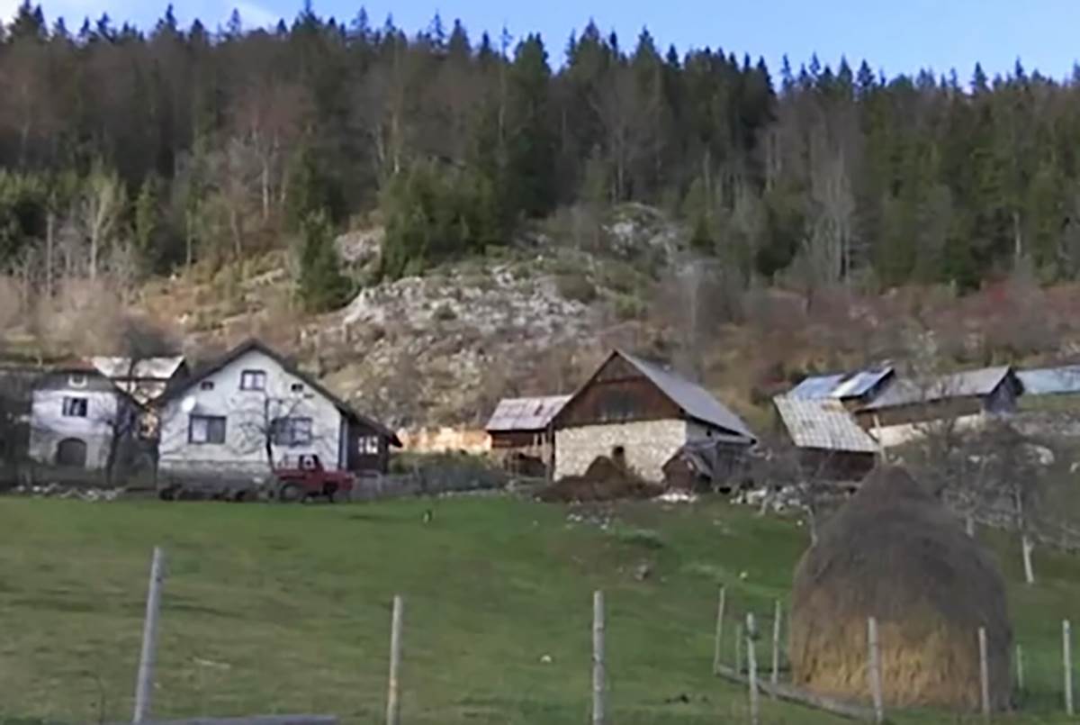 Raško gorštak sa Tare | Mondo