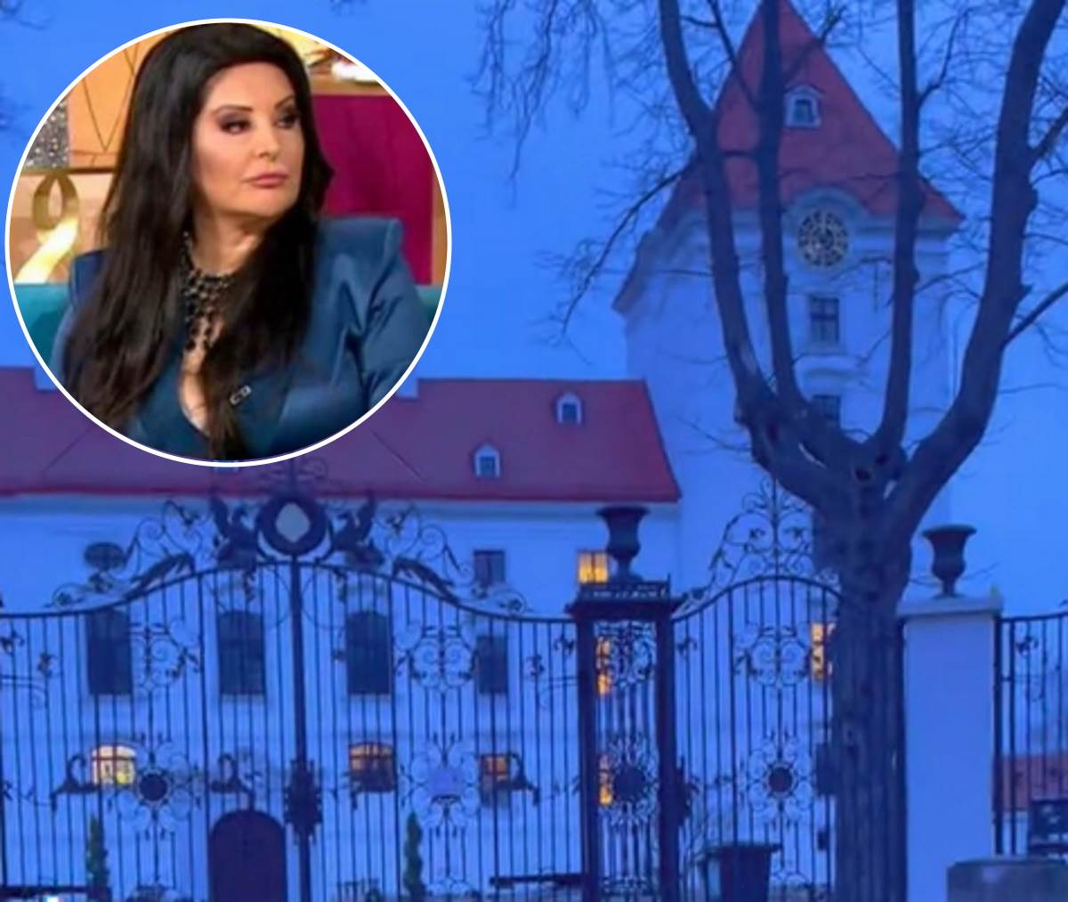 Kako izgleda dvorac Dragane Mirković | Mondo