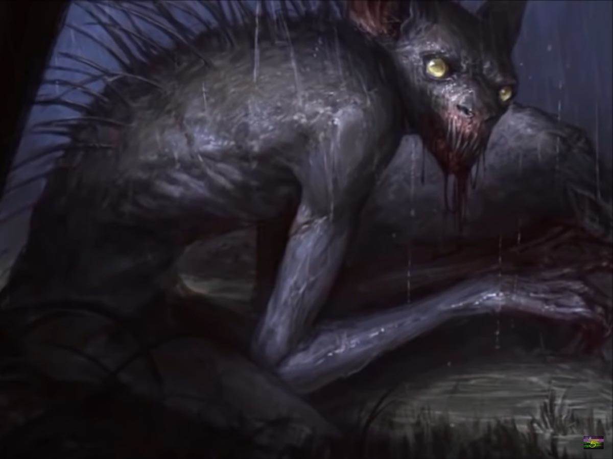 Kako izgleda drekavac | Mondo