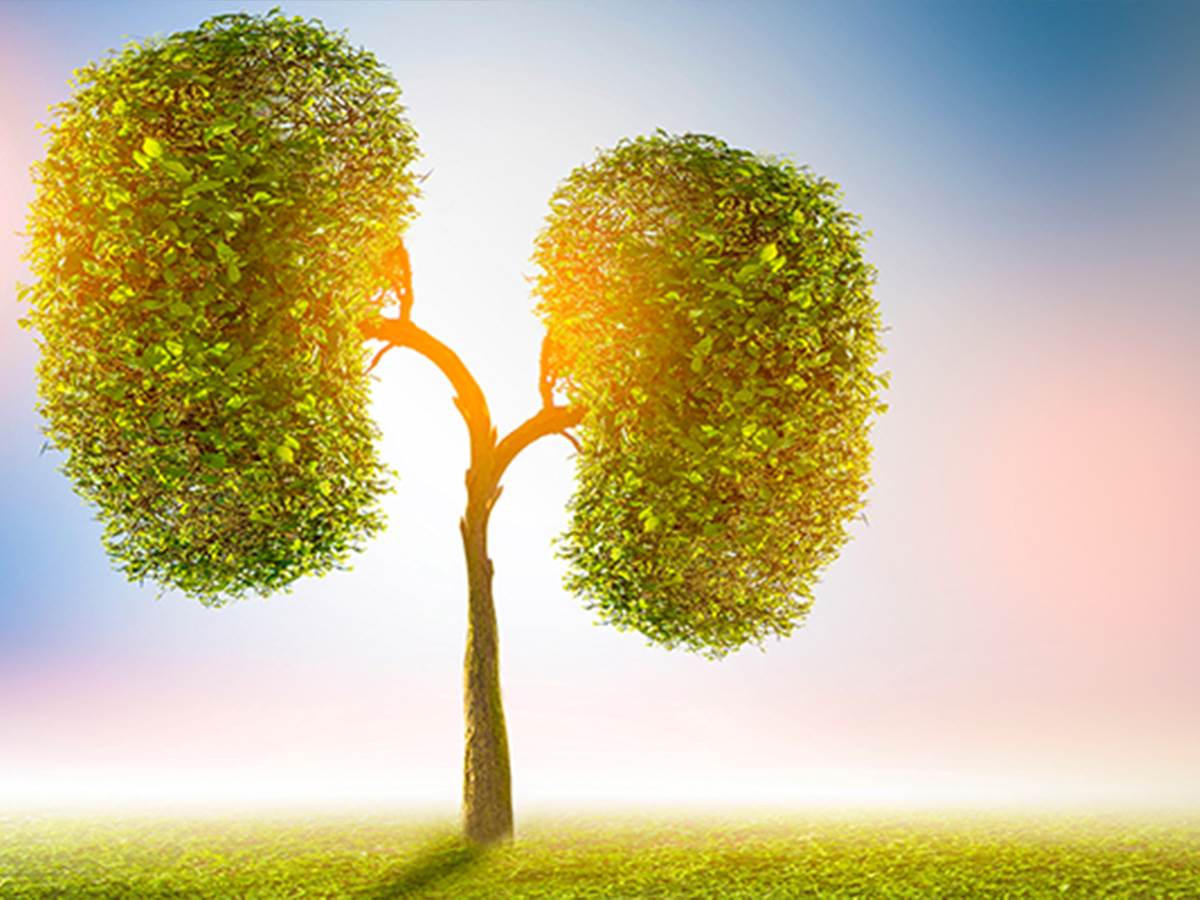 Za operacije transplantacije jetre u ACIBADEM-u ne postoje granice | Mondo