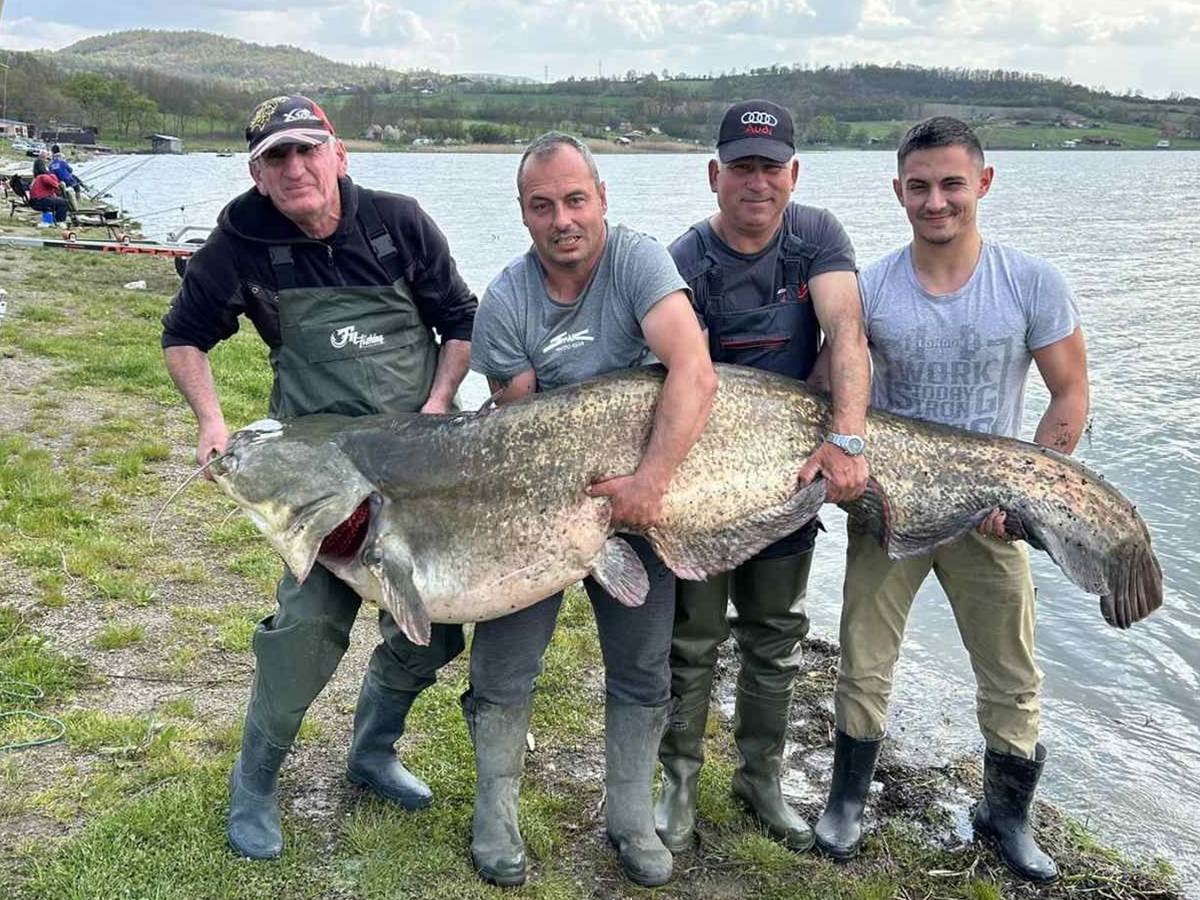 Ribolovac upecao soma kapitalca kod Knića | Mondo