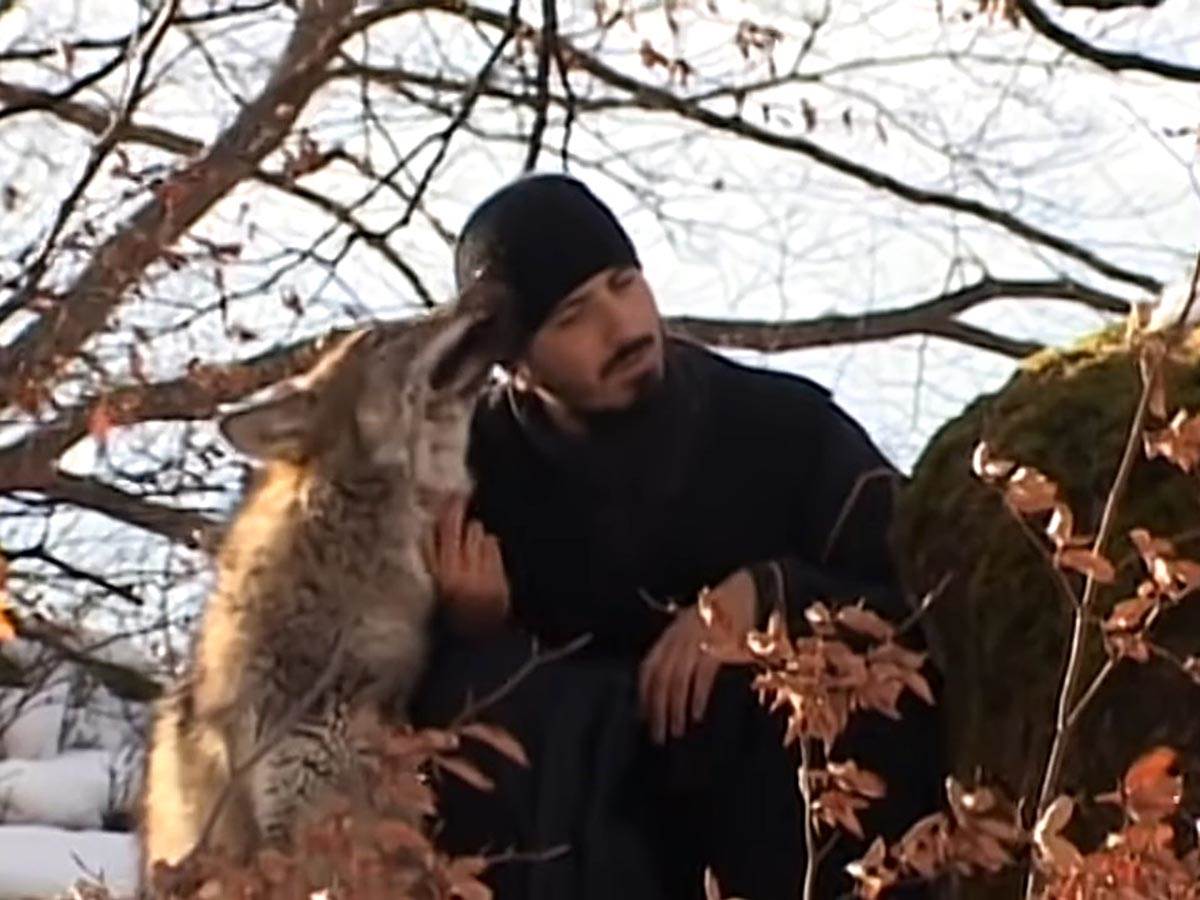 Monah Amvrosije sa Javora živi sa vukom Alfom | Mondo