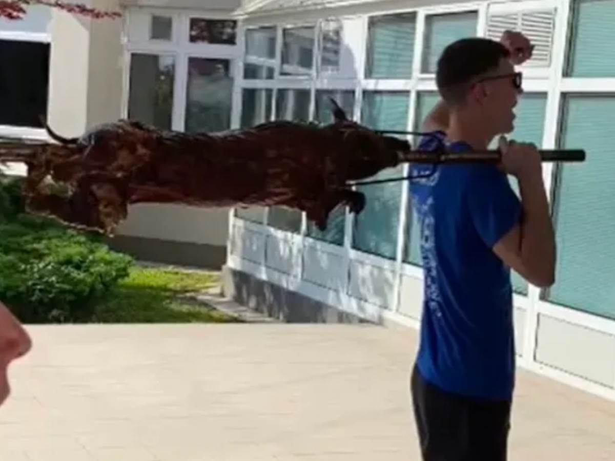 Doneli razrednom prase na ražnju | Mondo
