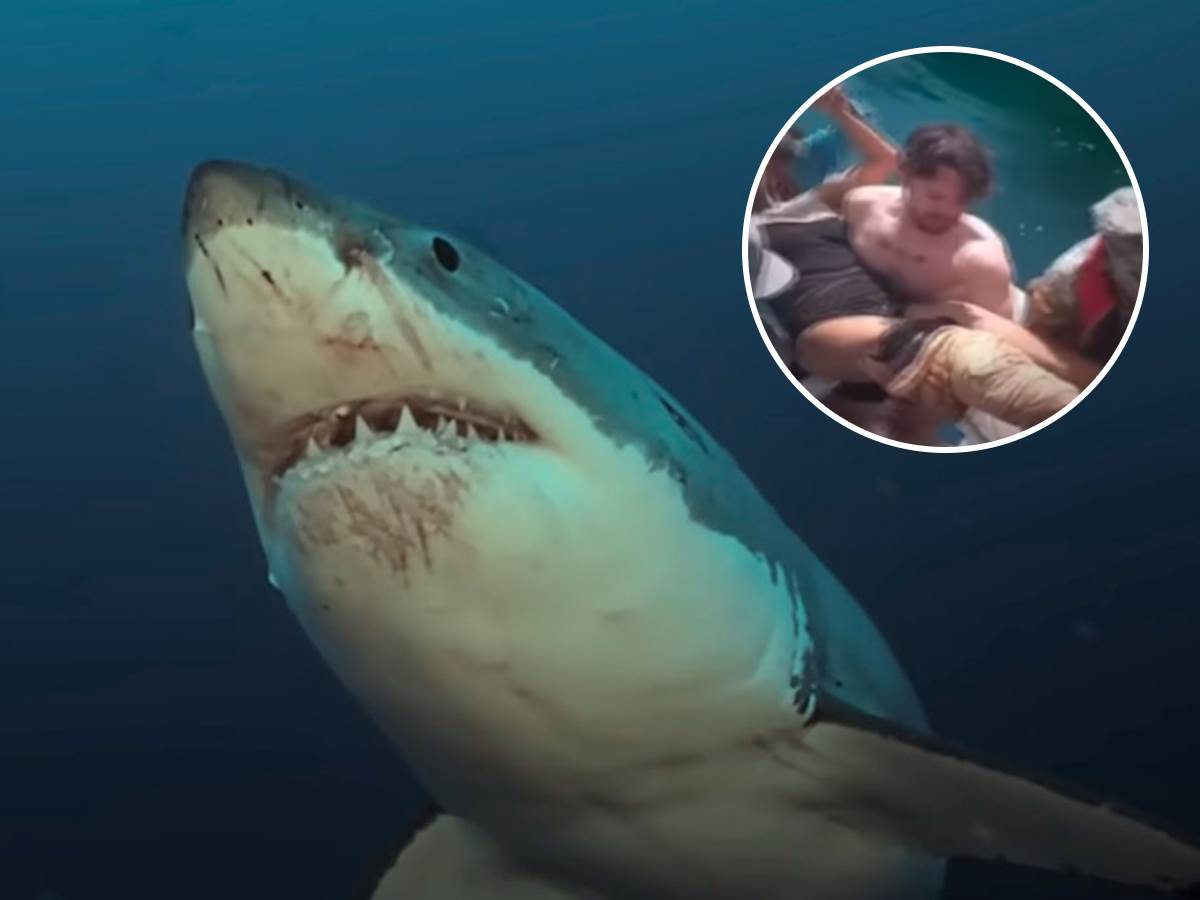 Ajkula napala ženu kod ostrva Galapagosa | Mondo