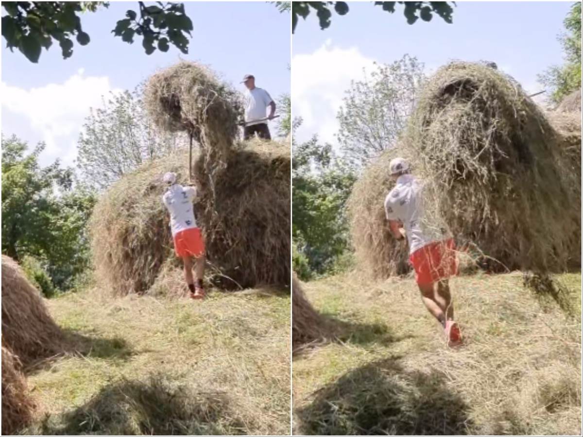 Milan Topalović Topalko plasti seno | Mondo