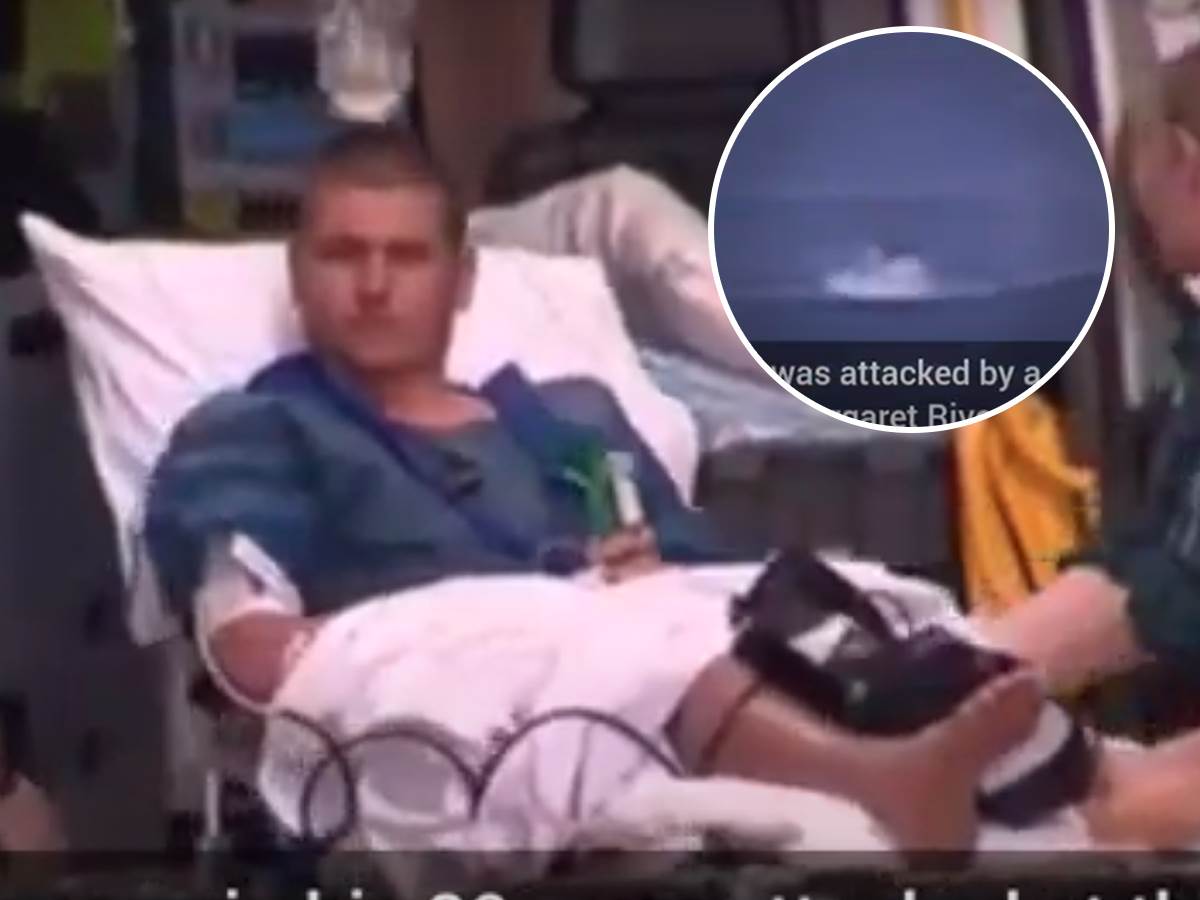 Mladić preživeo napad velike bele ajkule | Mondo