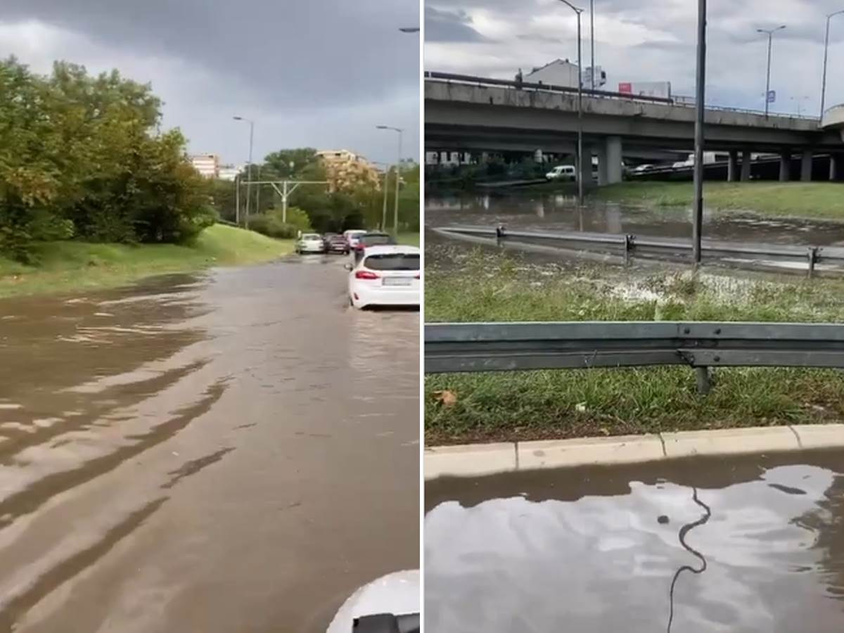 Poplavljena Autokomanda | Mondo