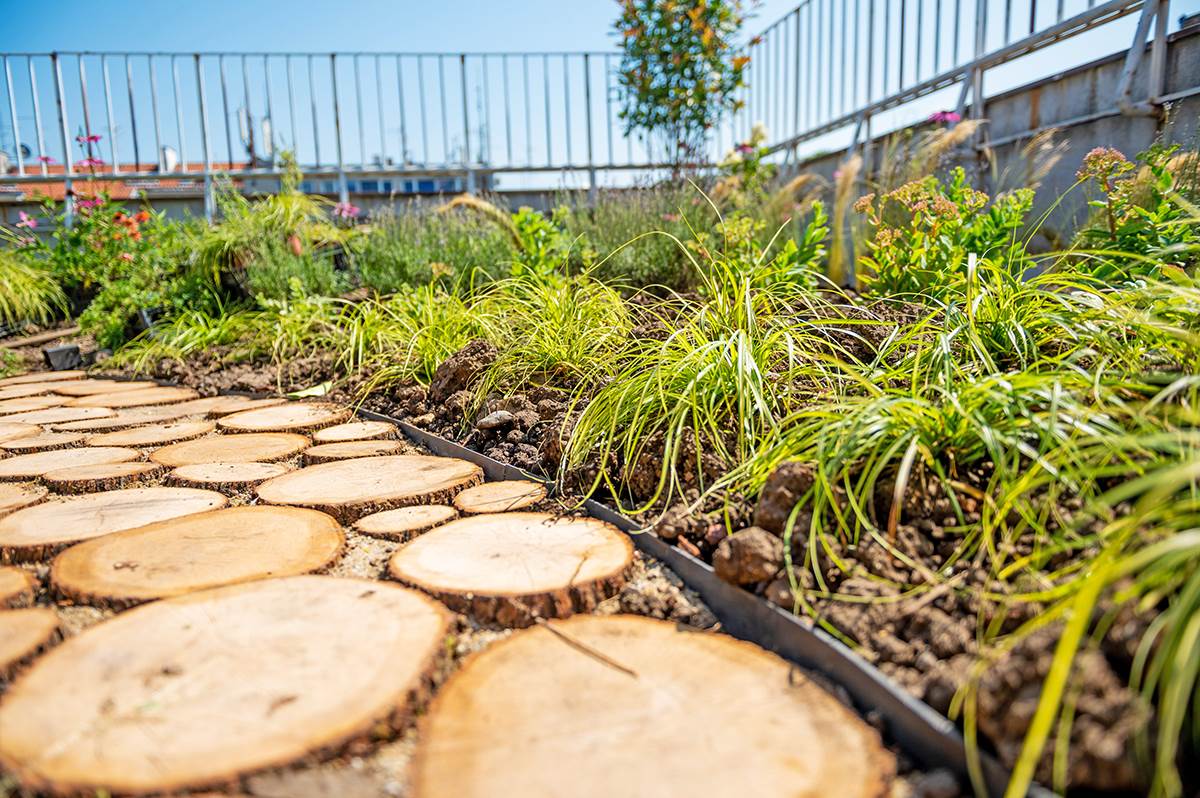 Opština Stari grad – primer dobre prakse alternativnog ozelenjavanja ...