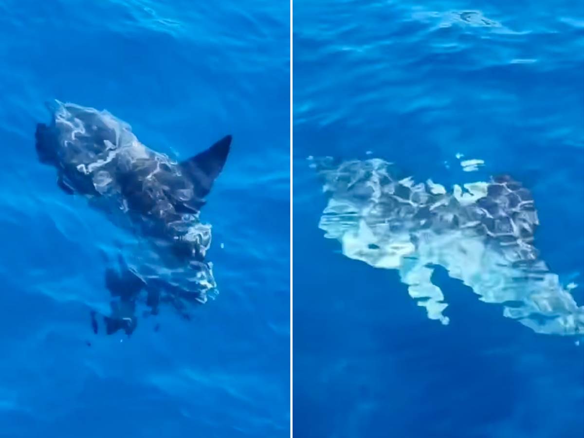 Veliki bucanj snimljen u Crnoj Gori | Mondo