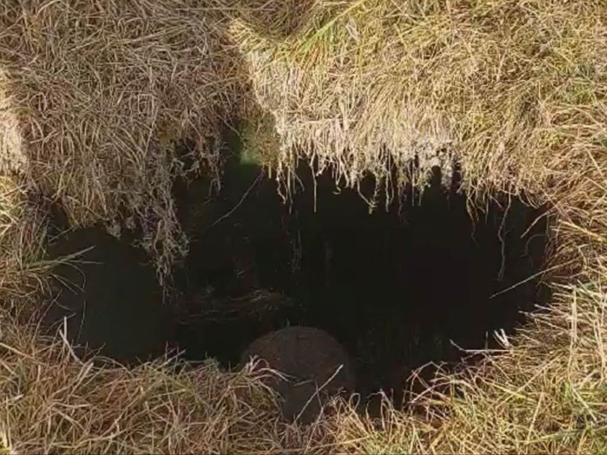 Misteriozna rupa na njivi kod Kosjerića | Mondo