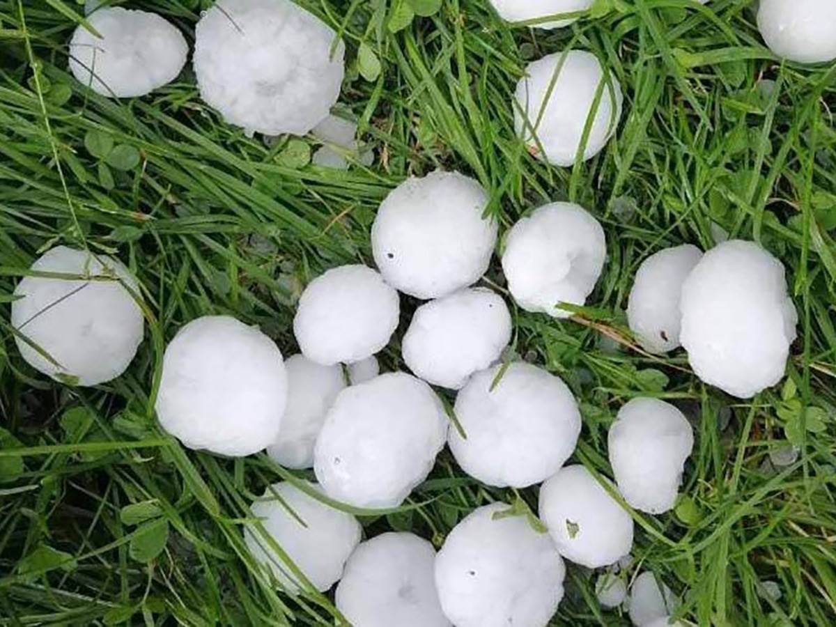 Krupan grad pogodio ivanjička sela | Mondo TV