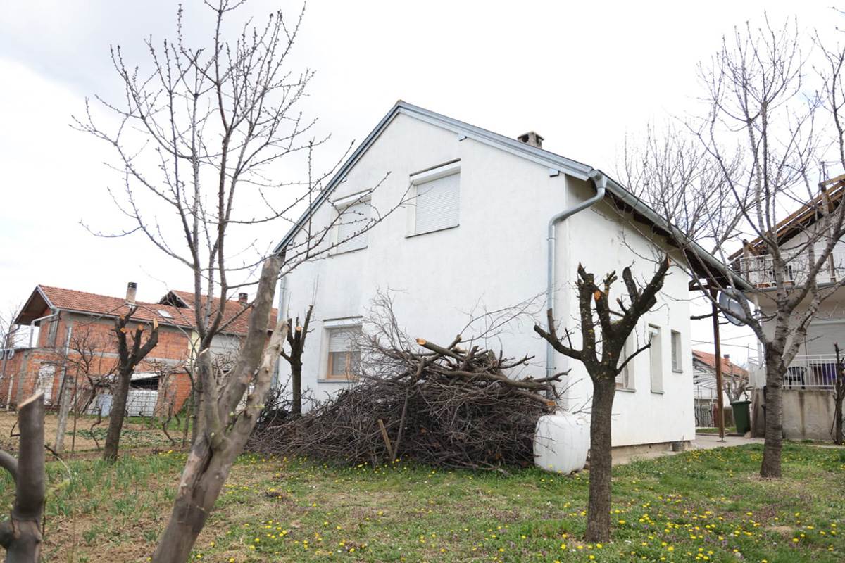 Samoubistvo u Novom Sadu | Mondo TV