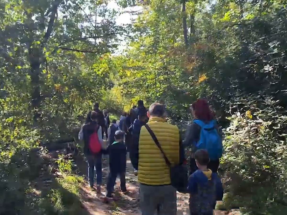 Šuma Stepin lug pored Beograda | Mondo