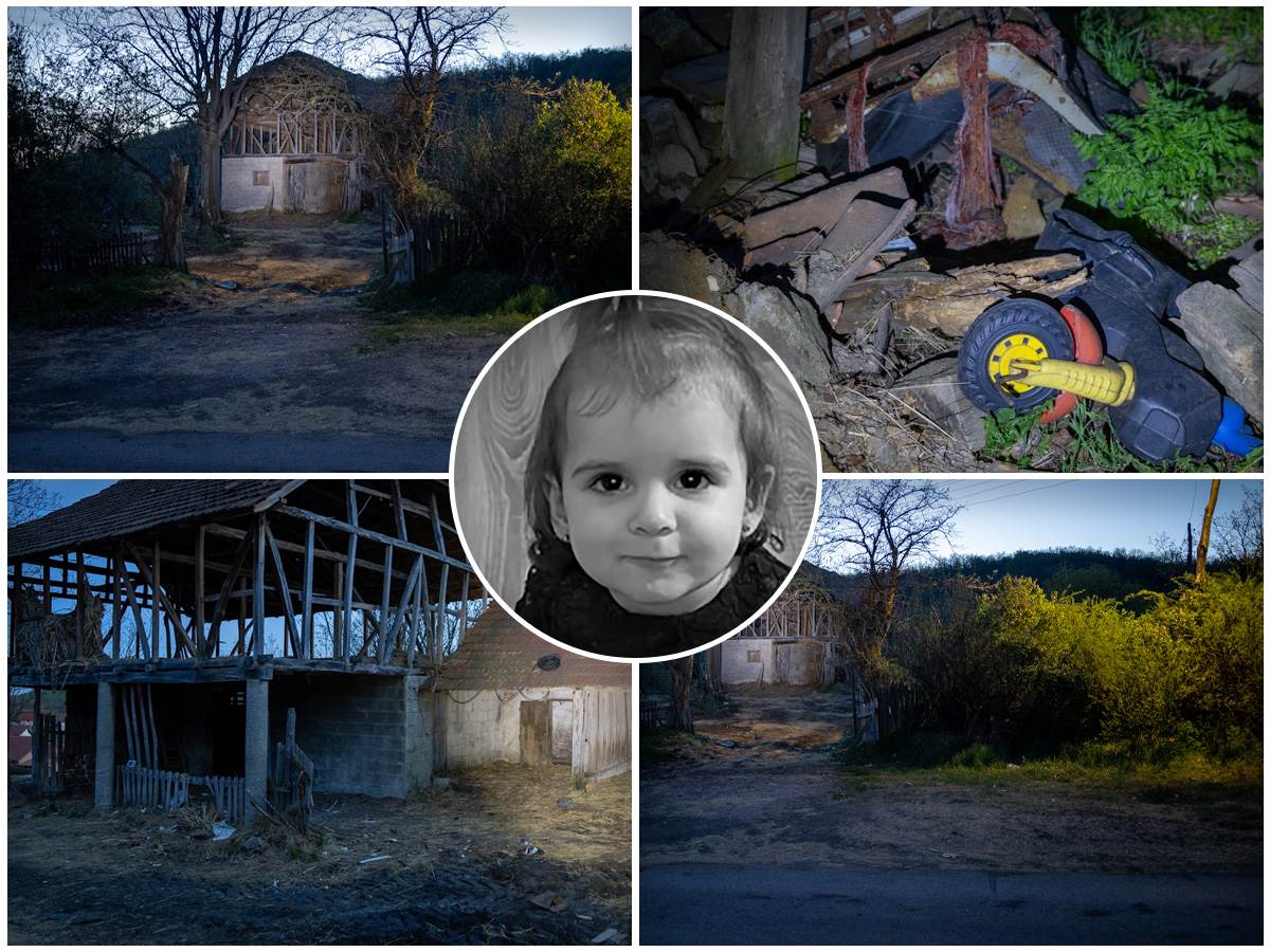 Dokle je stigla istraga vezana za ubistvo Danke Ilić | Mondo