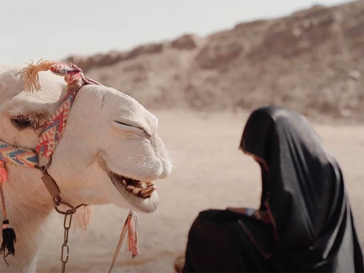 Da li je bela odeća najbolja za vrućinu | Mondo