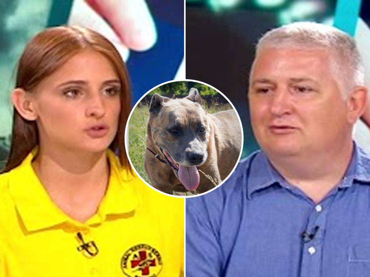 Kada psi napadaju ljude | Mondo