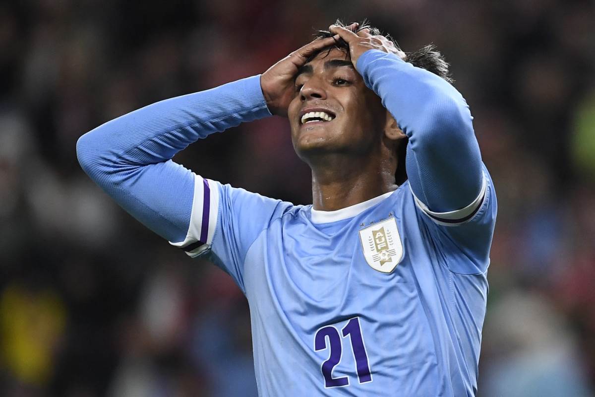 Crvena zvezda poslala ponudu od osam miliona evra za Fakunda Toresa | Mondo