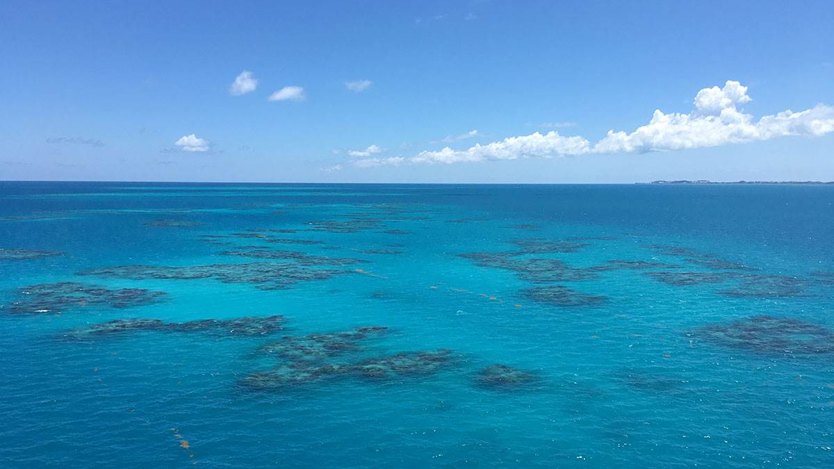 Sargaško more jedino koje nema obalu | Mondo