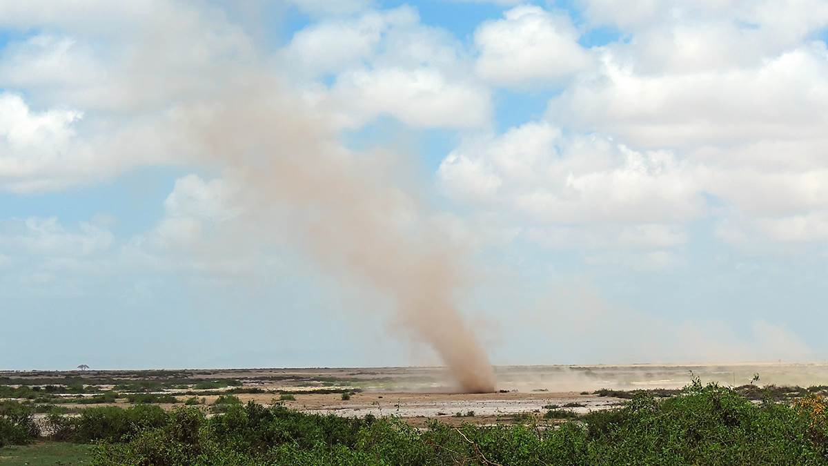 Pustinjski đavo snimljen kod Vrbasa | Mondo