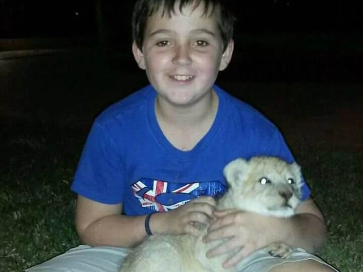 Dečaka ubio lav u kući koji je držan kao kućni ljubimac | Mondo