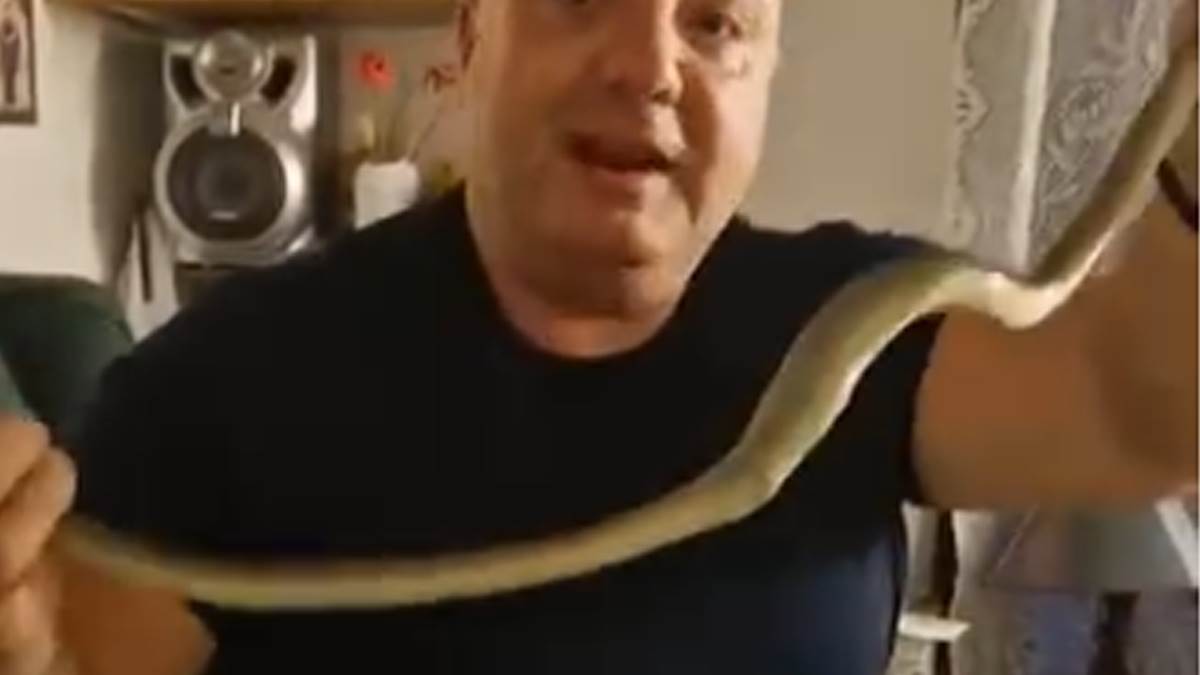 Zmija progutala papagaja u kući u Srbiji | Mondo