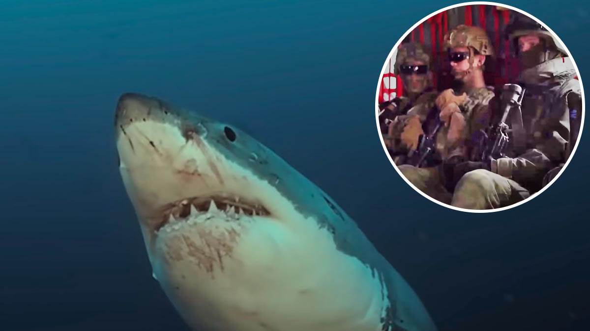 Ajkula napala vojnike dok su se kupali | Mondo