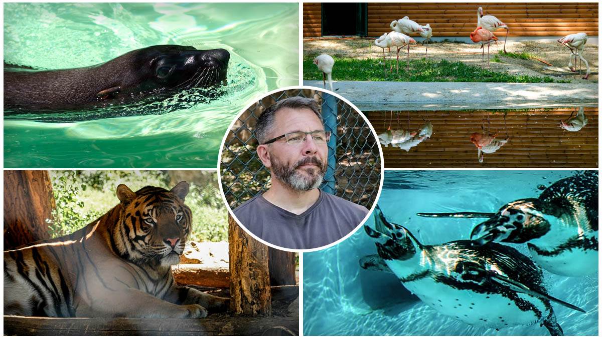 Kako se rashlađuju životinje u Beo Zoo vrtu tokom visokih temperatura ...