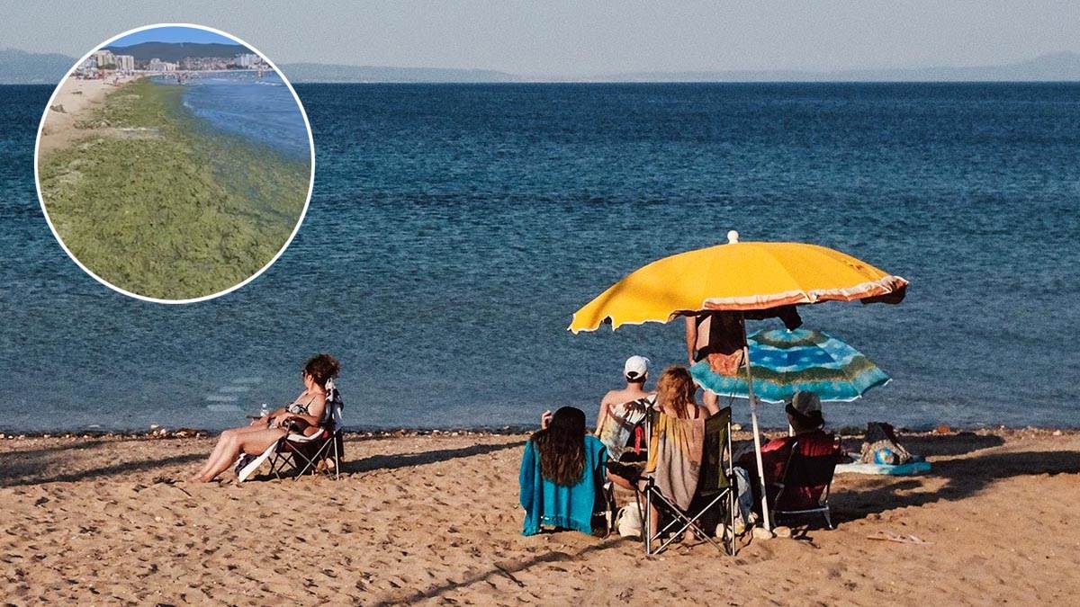 "Štedeli smo celu godinu za more i dođemo ovde": Turisti zgroženi ...