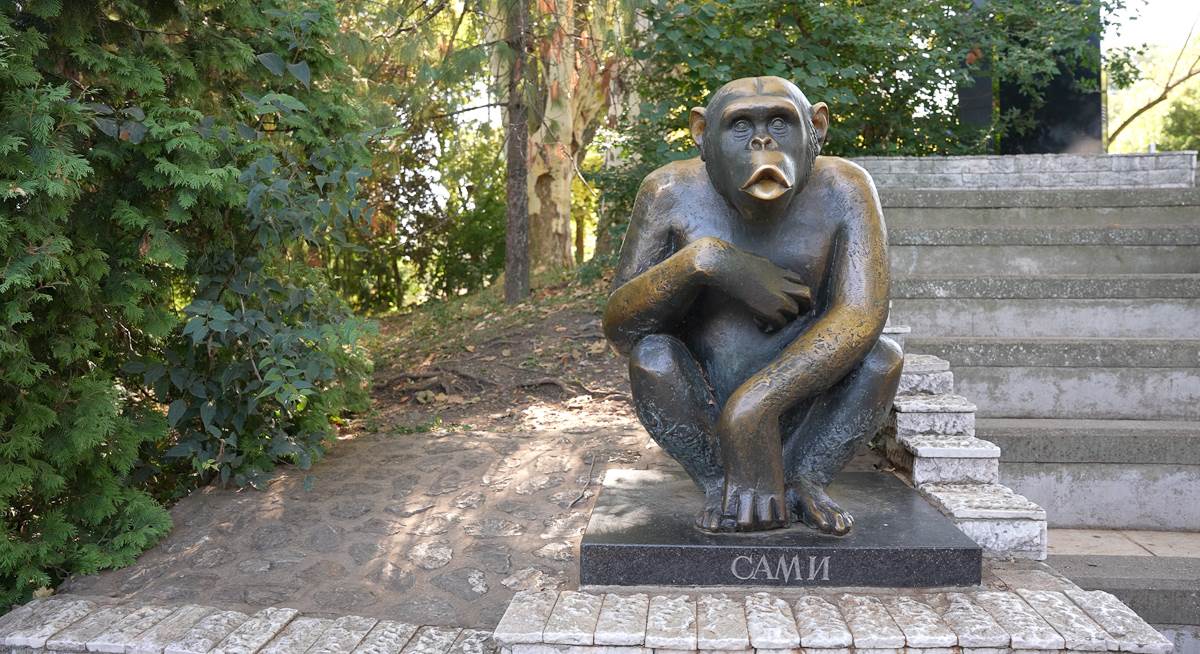 Sami majmun koji je pobegao iz beogradskog zološkog vrta | Mondo
