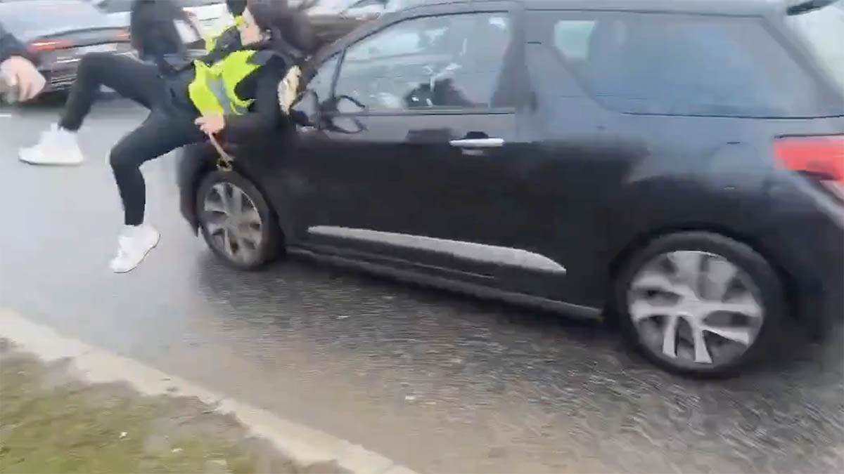 Studentkinja oborena na Novom Beogradu | Mondo