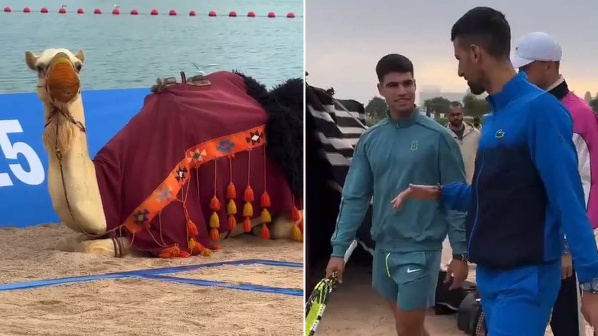 Novak Đoković i Karlos Alkaraz igrali tenis na kamilama | Mondo