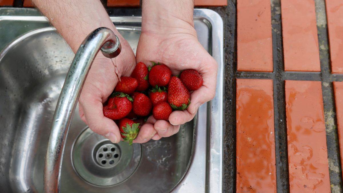 Kako pravilno oprati jagode | Mondo