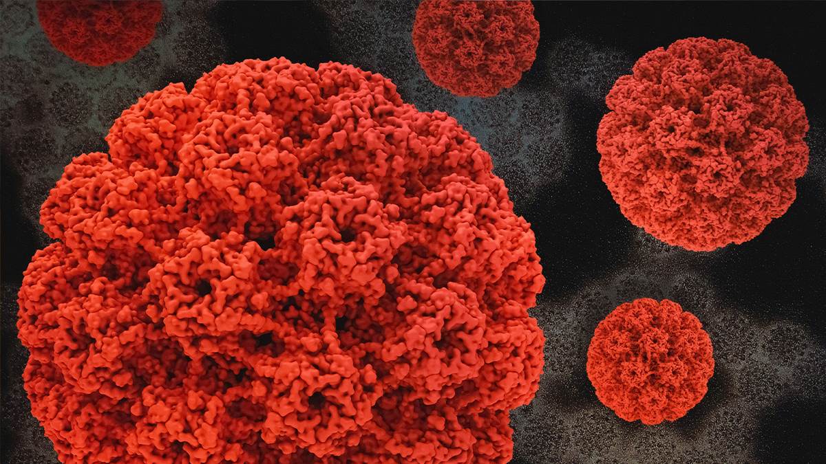 Kako HPV infekcija visokog rizika može dovesti do raka? | Mondo