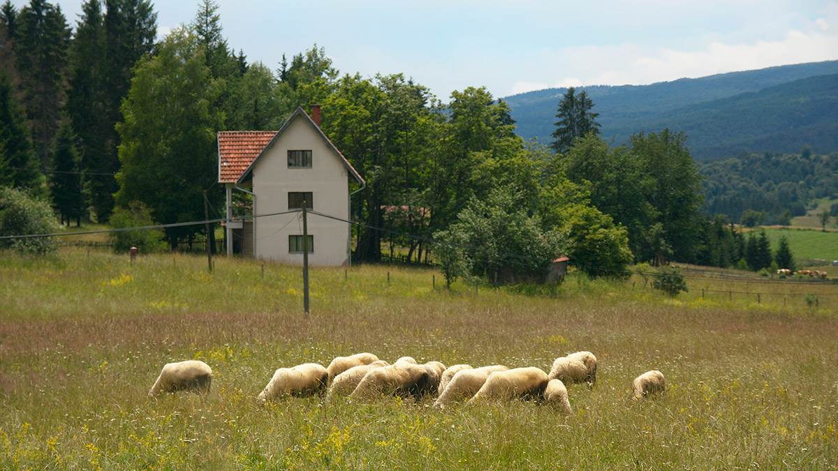 Srpsko selo sa najviše sunčanih dana na Balkanu | Mondo