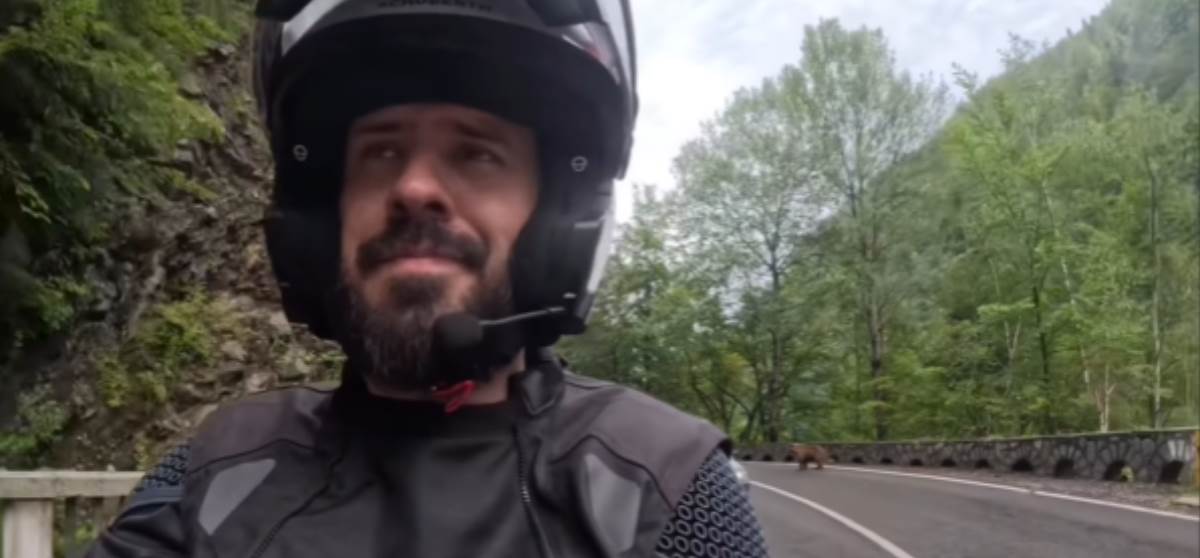 Marko Rokvić snimio medveda na putu dok je vozio motor | Mondo